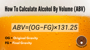 Beer Gravity Explained | Brewing Essentials - BeverageBeaver.com