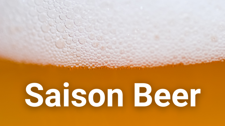 Saison Beer Explained: What Is A Saison? - BeverageBeaver.com