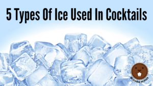 5 Different Types Of Ice Used In Cocktails - BeverageBeaver.com